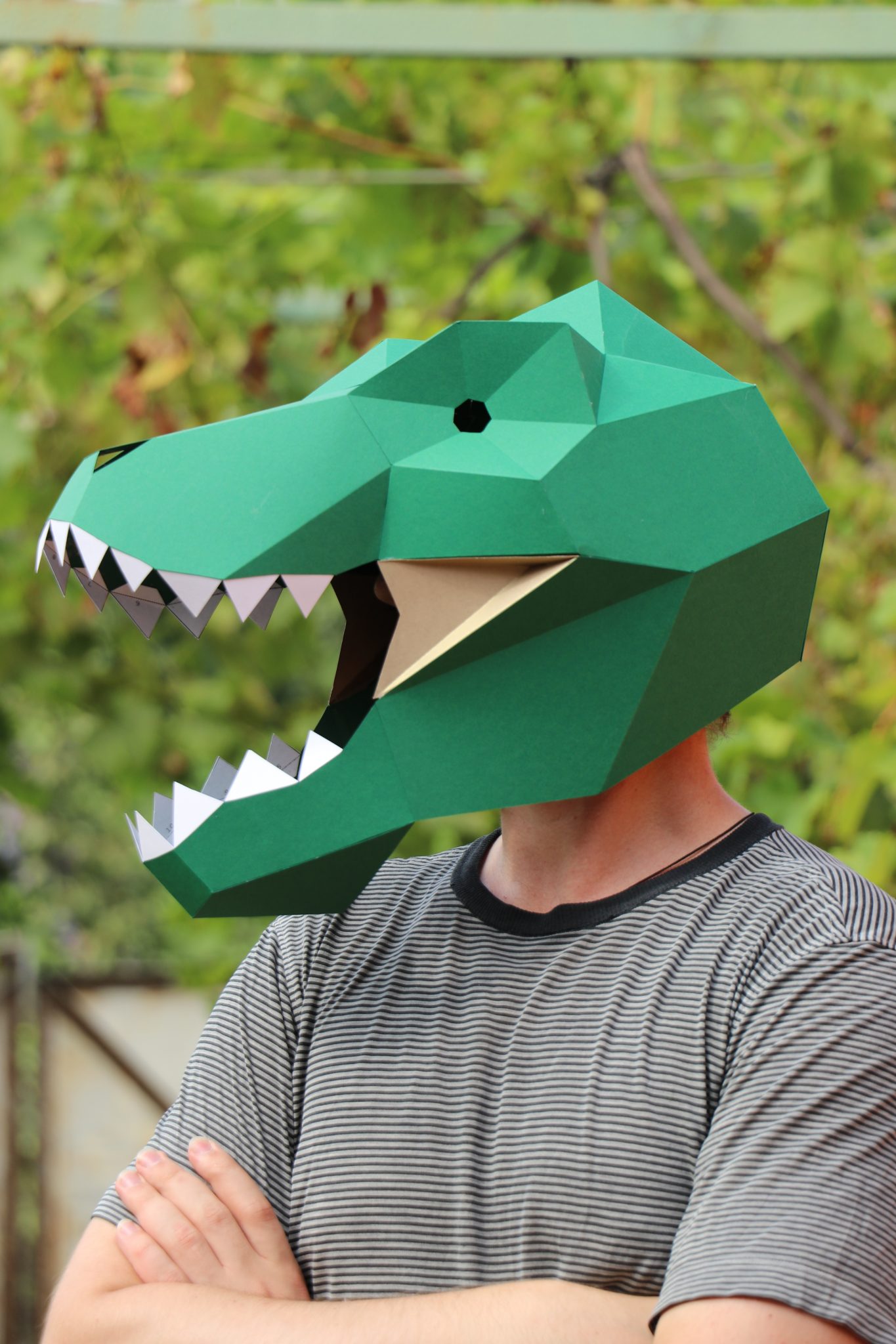 T-Rex Mask - LACRAFTA