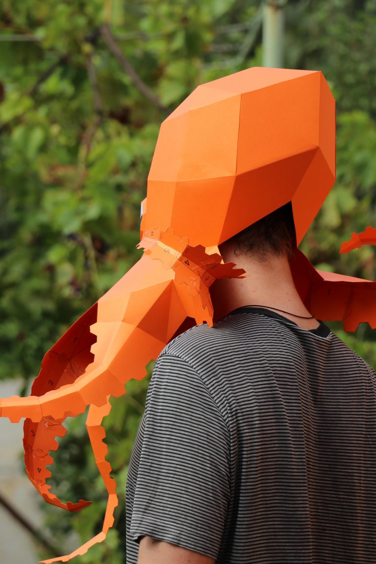 Octopus Mask DIY, Low Poly Mask Devilfish, Paper Craft Mask Poulpe, Pdf ...