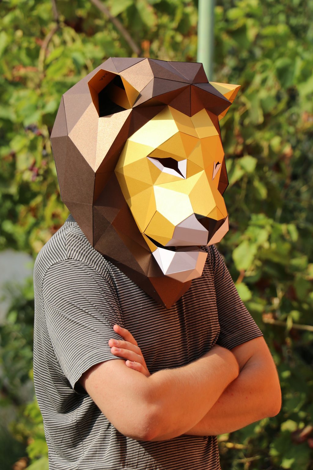 Safari Animal Mask Set – Lion, Elephant, Giraffe, Zebra & Rhino - LACRAFTA