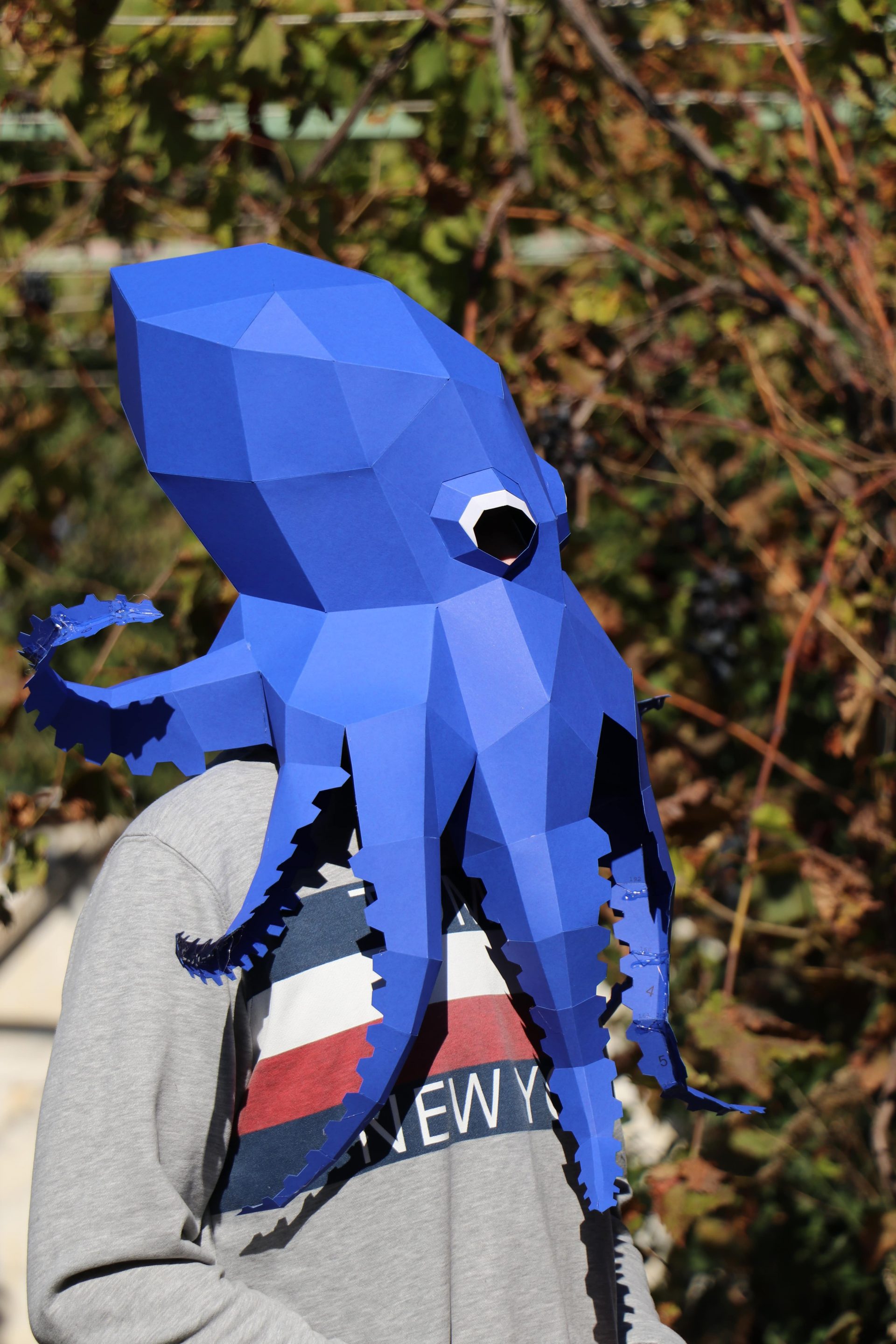 Octopus Mask DIY, Low Poly Mask Devilfish, Paper Craft Mask Poulpe, Pdf ...