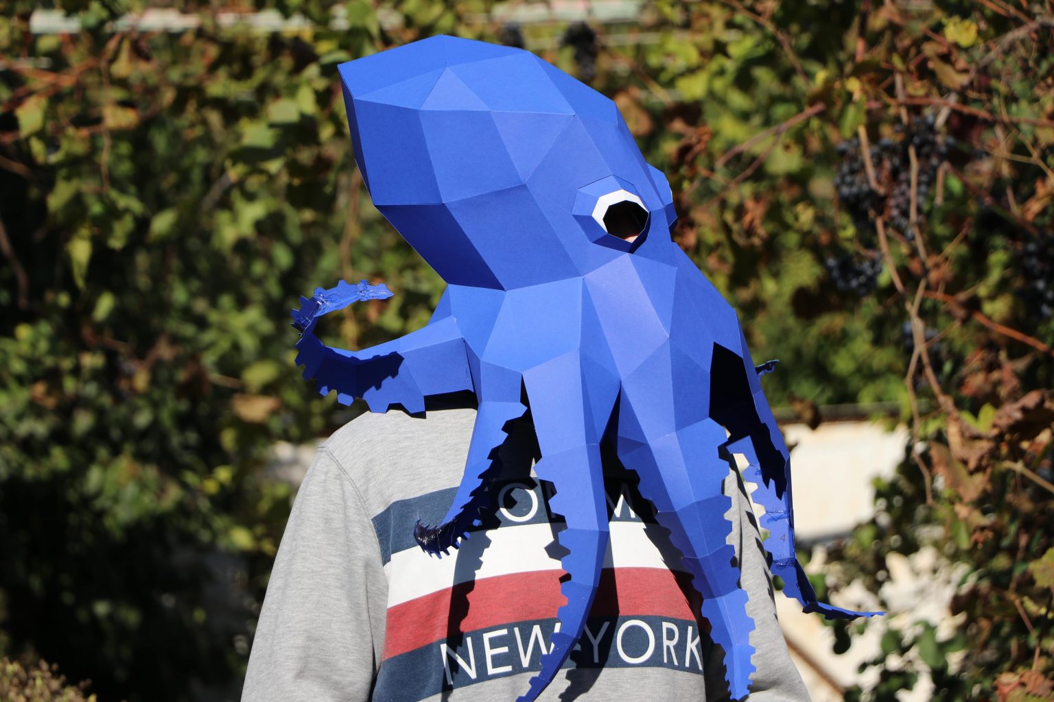 Octopus Mask - LACRAFTA